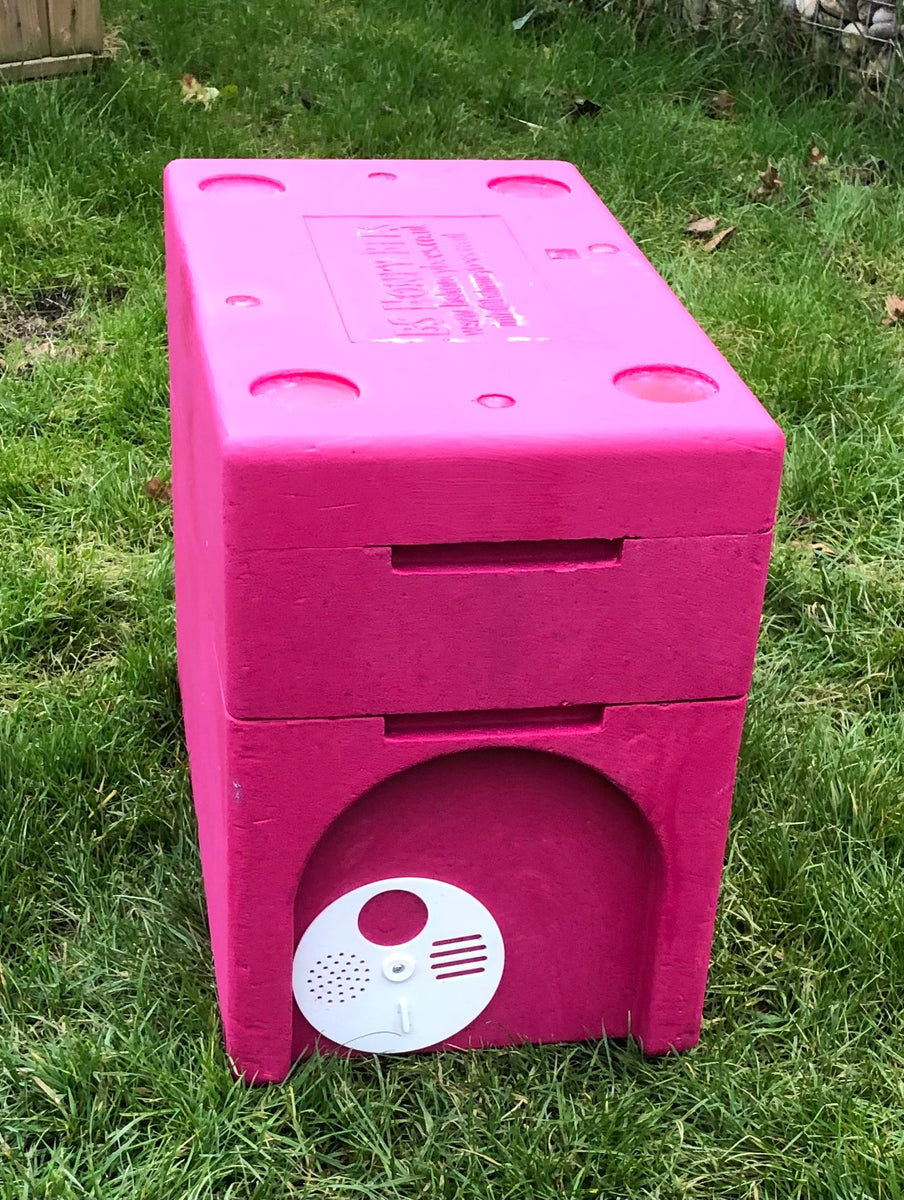 Pre Painted National 2 in 1 poly Nuc Box – BEE KEEPING EQUIPMENT