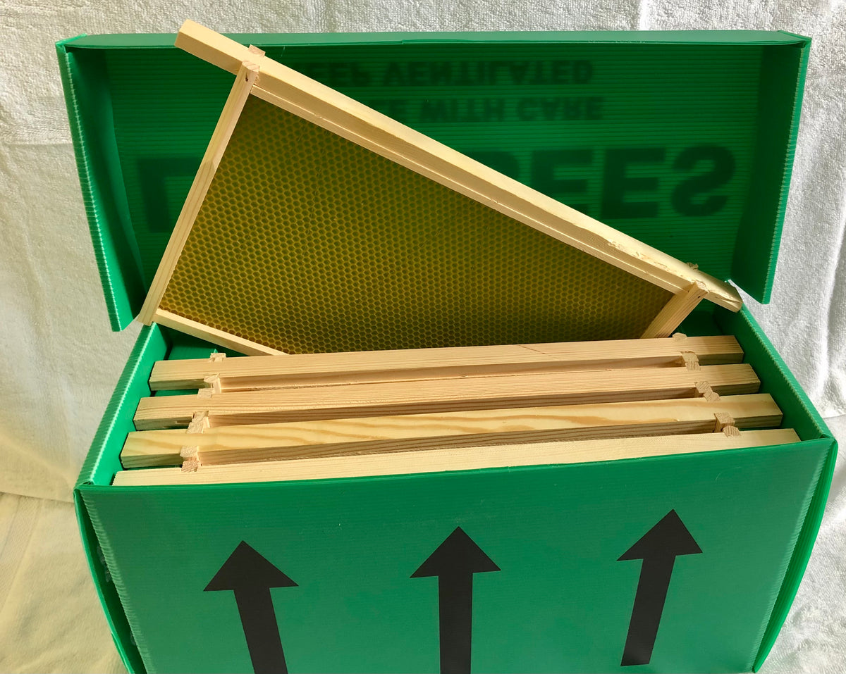 Corex National nuc box with frames and foundation – BEE KEEPING EQUIPMENT