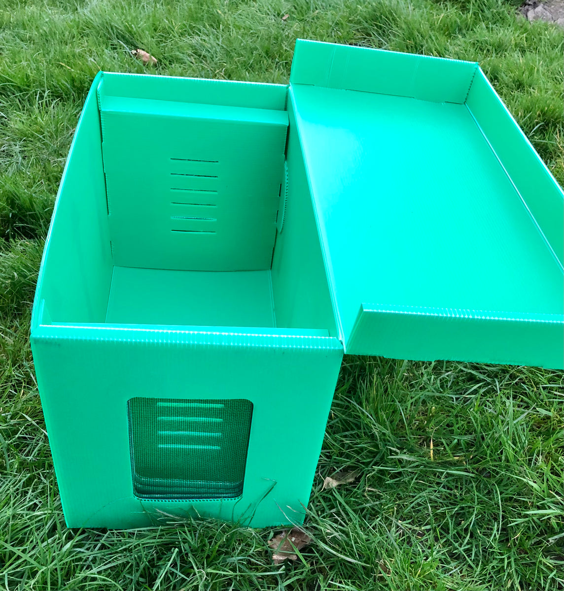 Deluxe Correx Nuc Box Assembled – BEE KEEPING EQUIPMENT