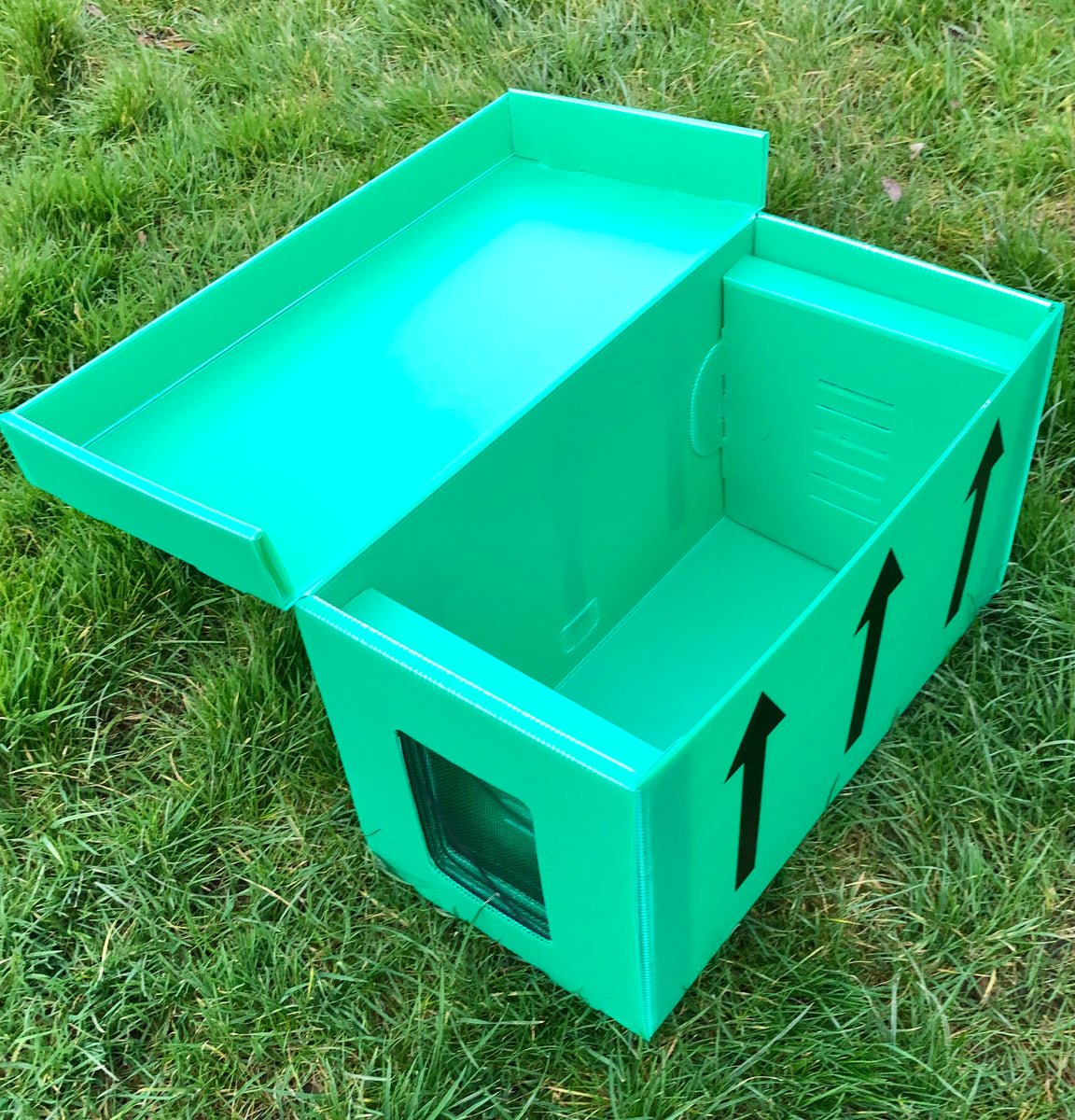 6 frame Correx Nuc Box with Mesh Screen – BEE KEEPING EQUIPMENT