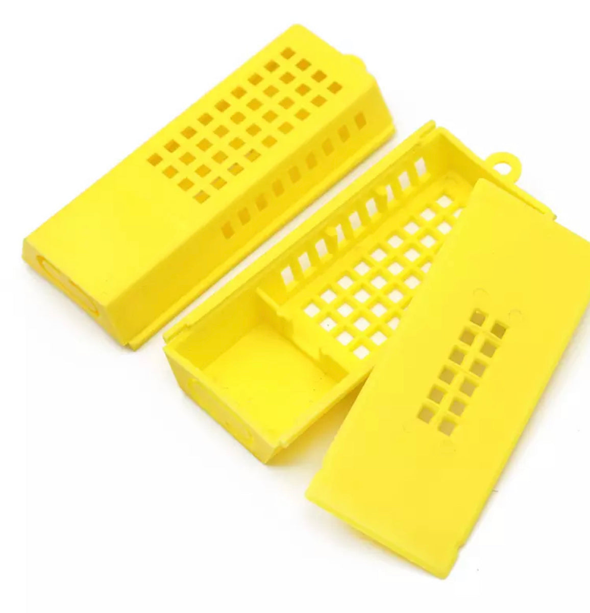 10 x Queen Introduction Cage – BEE KEEPING EQUIPMENT