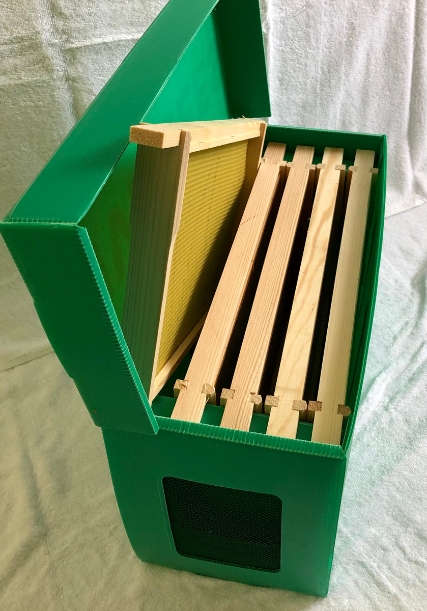 Corex National nuc box with frames and foundation – BEE KEEPING EQUIPMENT